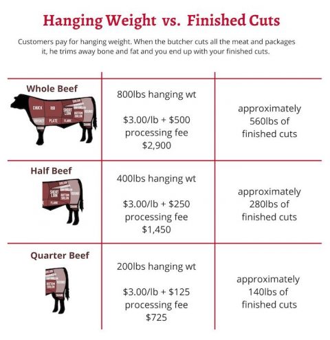 Grass Fed Beef - R-Value Farms